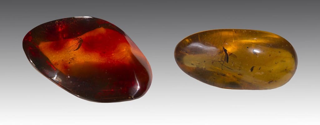 Ambre Jaune : Propriétés, Histoire, Vertus et Bienfaits - Lithothérapie.net