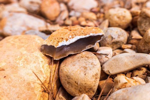 Silex : Propriétés, Vertus et Bienfaits - Lithothérapie.net